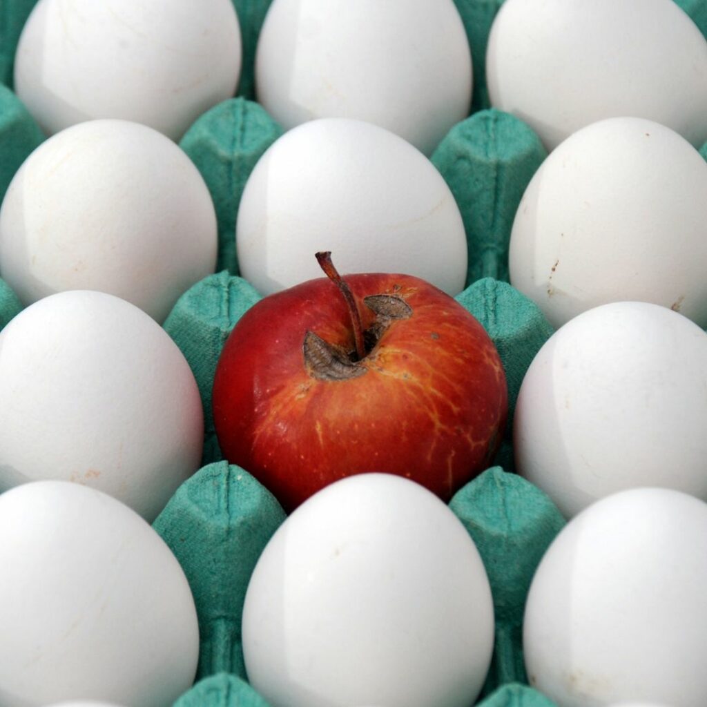 L'enfant découvre la vie pareille, pas pareille - Semaine Petite Enfance